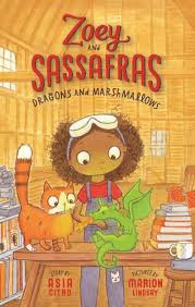 Zoey and Sassafras Dragons and Marshmallows Book 1 - A Book And A Hug