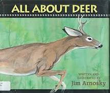 All About Deer - A Book And A Hug