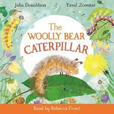 The Woolly Bear Caterpillar - A Book And A Hug